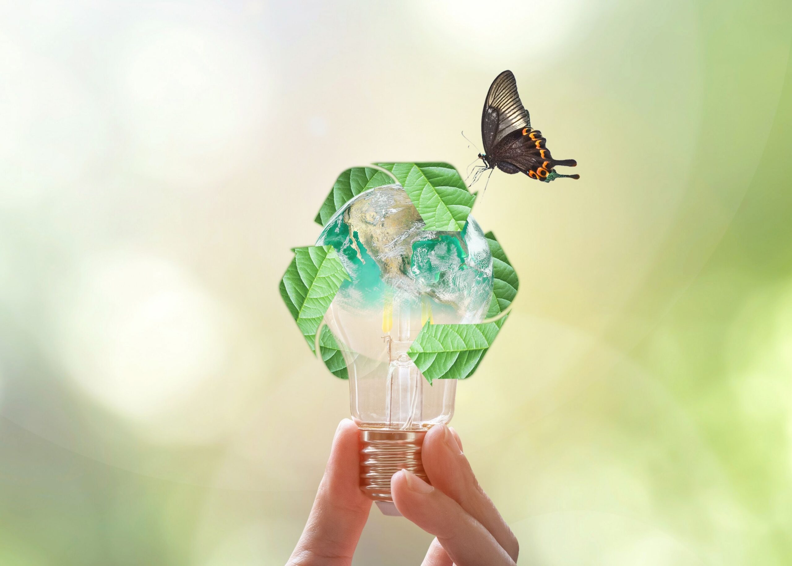 A Level Environmental Science | Blackpool Sixth Form